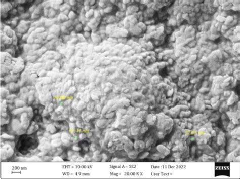 Sem Image Shows The Morphology Of The Surface Download Scientific