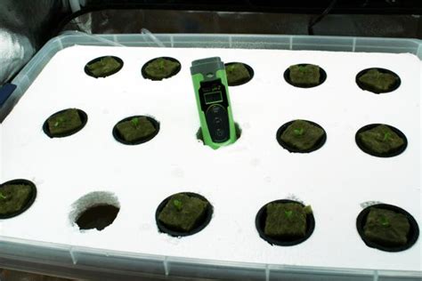 Floating Raft Deep Water Culture Inventgeek