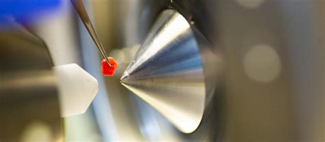 Direct Analysis In Real Time Mass Spectrometry