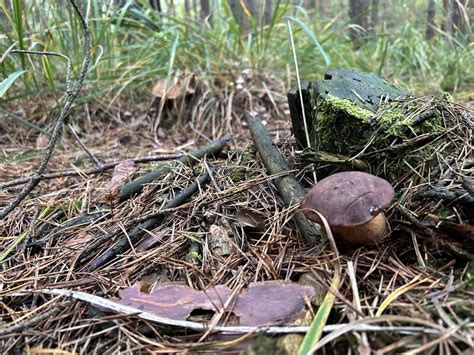 Need Relax From It Try It Radek Herskovic