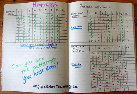 Most Powerful Reward Schedule Variable Ratio Hippologic Clicker