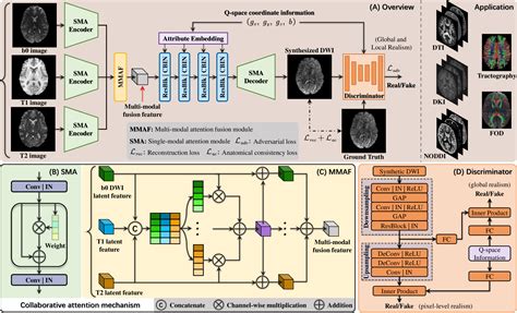 Q Space Guided Collaborative Attention Translation Network For Flexible
