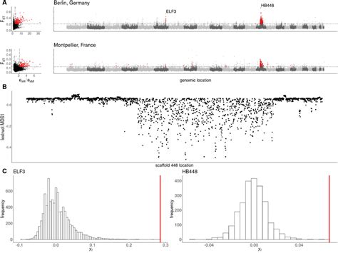 Temporal Signatures Of Selective Sweeps In Europe A Distributions Of