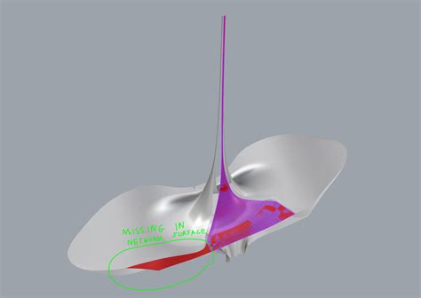 How To Construct Network Surfaces From Complex Subds Rhino Mcneel Forum