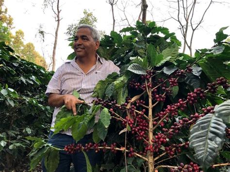 커피벨트를 가다 별처럼 많은 별처럼 다양한 커피