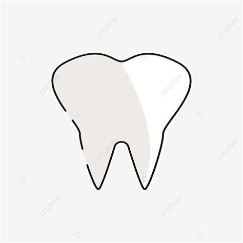 белые зубы Png лечение зубов ротовая полость Зуб Png картинки и пнг рисунок для бесплатной
