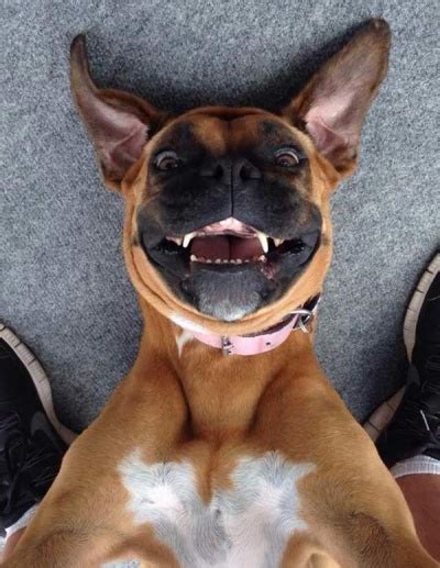 طنز💔 تستچی