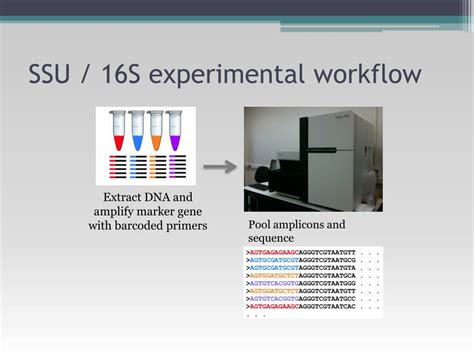 Ppt Analysis Of Microbial Communities With Qiime Powerpoint Presentation Id 5373719