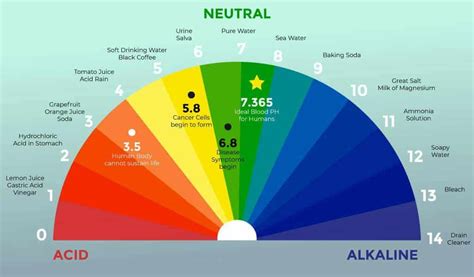 Baking Soda Health Benefits And Uses