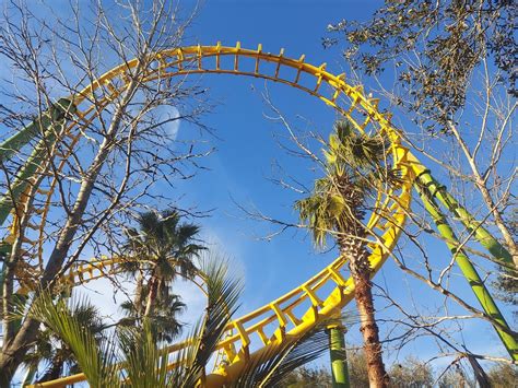 Is Anybody Elses Homepark [sex Flags Wild Adventures] Im Trying To Find Othe Thussies 🥵 R