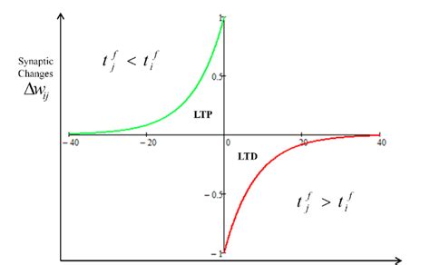 1 Learning Window With Symmetrical Ltp And Ltd Intervals Download