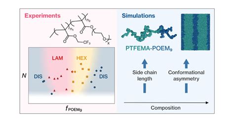Phase Behavior And Conformational Asymmetry Near The Comb To Bottlebrush Transition In Linear