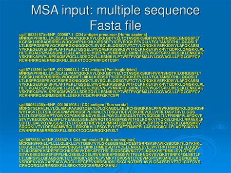 Ppt Multiple Sequence Alignment Msa And Phylogeny Powerpoint