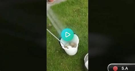 If You Ever Need To Clean And Peel Your Potatoes Really Really Really