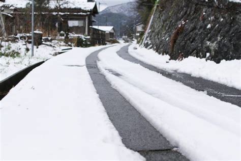 雪が積もりました FETICHE BLOG