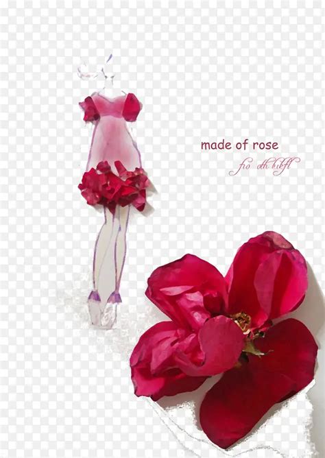 玫瑰花女孩png图片素材下载图片编号qdwaamby 免抠素材网