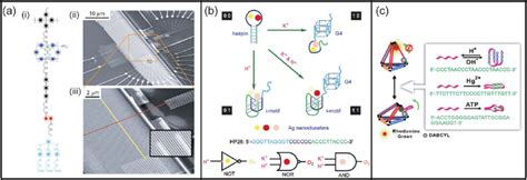 Self Assembled Nanomaterials For Information Storage And Processing Download Scientific