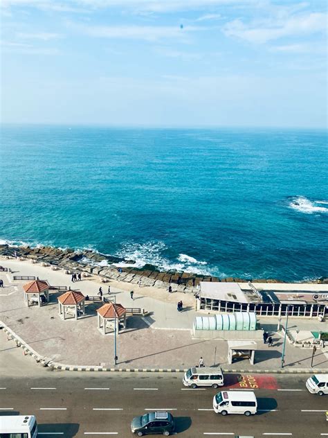 Mohamed Abdelnabi On Tumblr