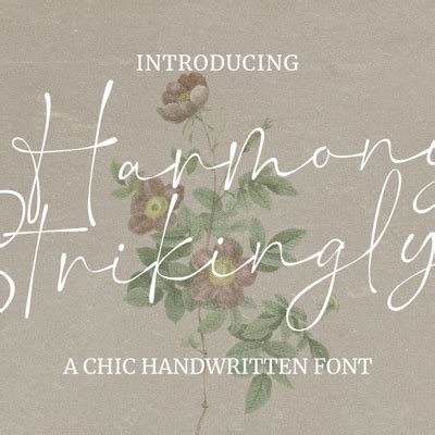 CURSIVE ELEGANT Collection FontSpace