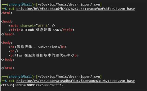 信息泄露 Svn泄露 《⚔️ctf》 极客文档