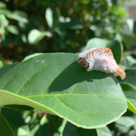 Finally A Sub Where This Guy Belongs He Didnt Get Much Love On Raww