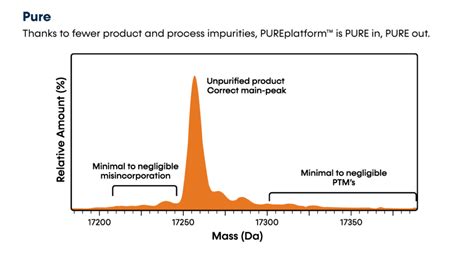 The Key Role Of Microbial Expression System Updates In Biotech