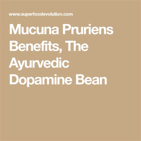 Mucuna Pruriens Benefits The Ayurvedic Dopamine Bean Ayurvedic