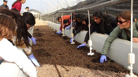 Stem Career Pathways In Ag — Seeag