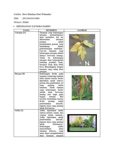 005 Dewi Khalima Putri W Pdf