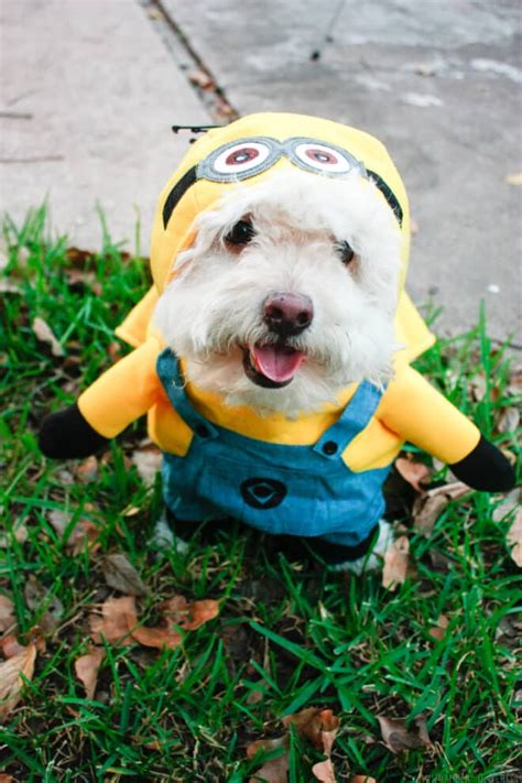 DIY Minion Costume Make Your Own Minion Halloween Costumes