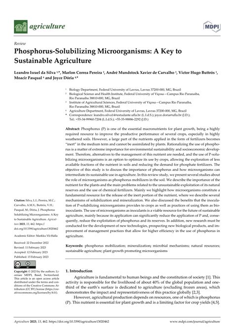 Pdf Phosphorus Solubilizing Microorganisms A Key To Sustainable Agriculture
