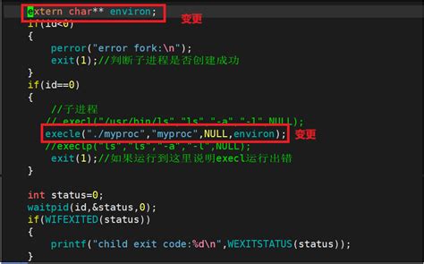 Linux环境下进程的程序替换 Csdn博客
