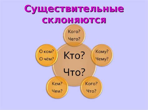 Три типа склонения имён существительных