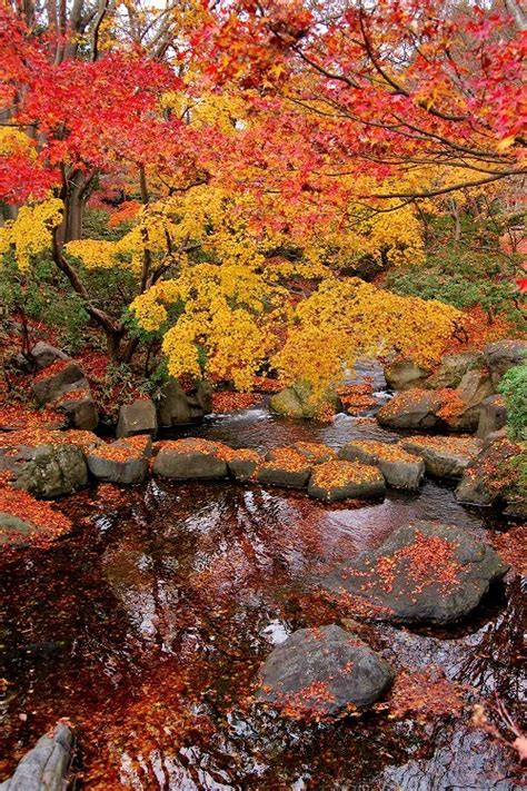 宇都宮市 栃木県中央公園 紅葉