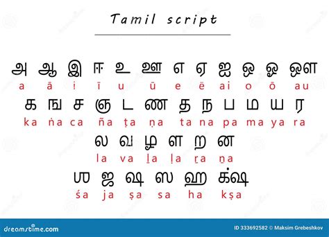 Tamil Alphabet Chart With Romanized Transliteration For Learning Stock