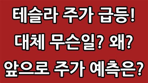 테슬라 주식 주가 전망 Tsll 삼슬라 Tqqq Soxl Tmf 타이거 Tiger 차이나 전기차 Solactive 아이온큐 니콜라 루시드 리비안 Tsly 머스크형 다행