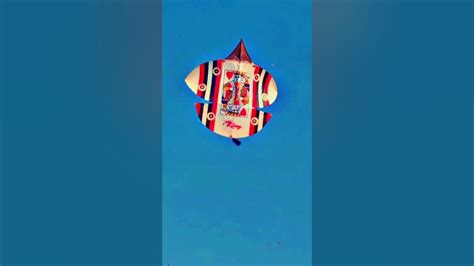 Big Patang Pindi Basant Youtube