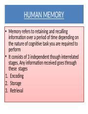 Understanding Human Memory Encoding Storage And Retrieval Course Hero