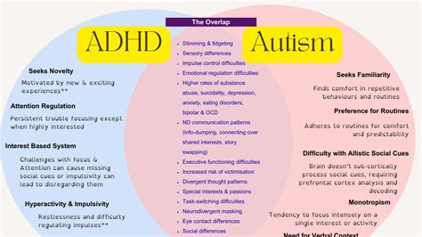 Understanding The Adhd Autism Overlap Audhd