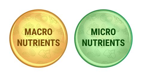 What Is The Difference Between Macronutrients And Micronutrients