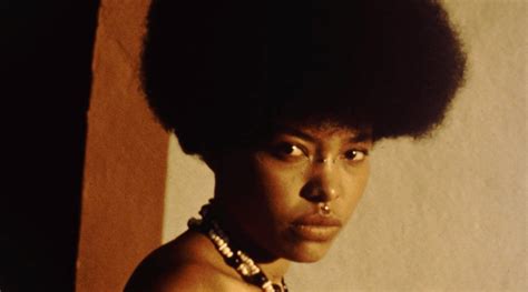 Pietro Coppolecchia Puro