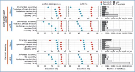 CafÉ Assembling High Confidence Coding And Noncoding Transcriptome Maps Rna Seq Blog