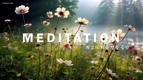 치유 명상음악 연속듣기 마음이 편안해지는 음악 스트레스 해소 음악 이완 효과가 있는 음악 잠잘때 듣는 Youtube