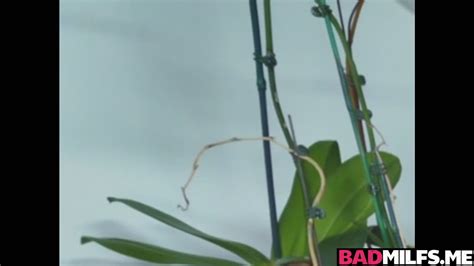 Mom Silvia And Dauhter Izzy Hot 3some Fuck