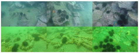Lightweight Underwater Object Detection Based On Yolo V4 And Multi Scale Attentional Feature Fusion