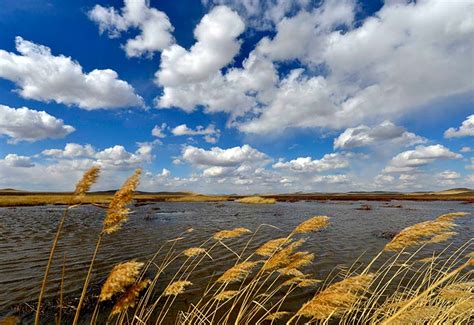 开创生态文明新局面——党的十八大以来以习近平同志为核心的党中央引领生态文明建设纪实 国家能源局