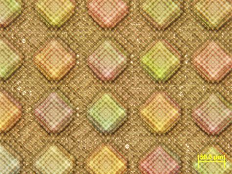 Mandy B Esch Phd — Body On A Chip Research Improving The Predictive Power Of In Vitro Drug