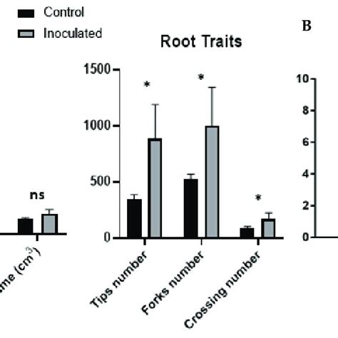 A Winrhizo Image Analysis Results B Green Index Analysis By Spad Download Scientific A Winrhizo Image Analysis Results B Green Index Analysis By Spad Download Scientific