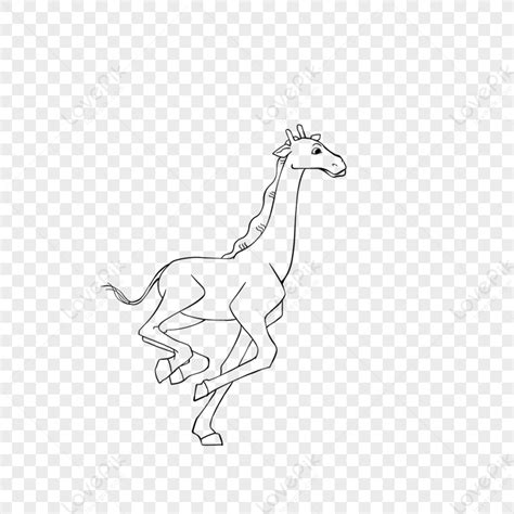 흑백 일러스트 선화 기린 달리기 점프 귀여운 어린이 그림클립 아트만화 Png 일러스트 무료 다운로드 Lovepik