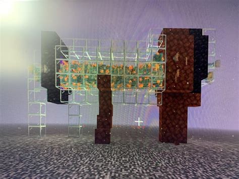 Nether Portal Problems R Minecraft